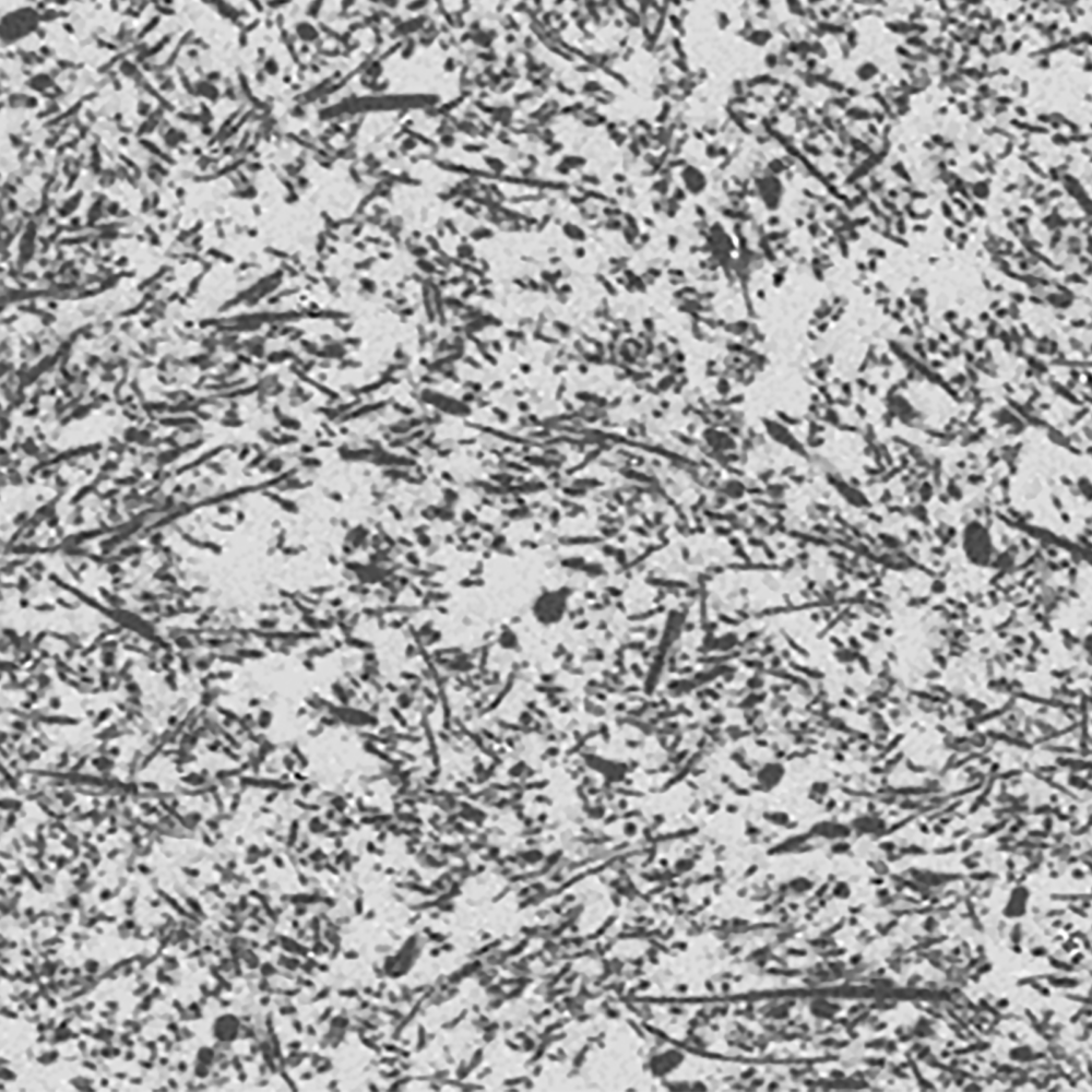 Composite Processing - CPS Technology Solutions